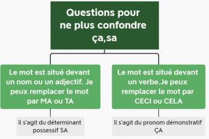 Objectif zéro faute | les homophones ça/sa, mais/mes/m'est/m'es/mets...
